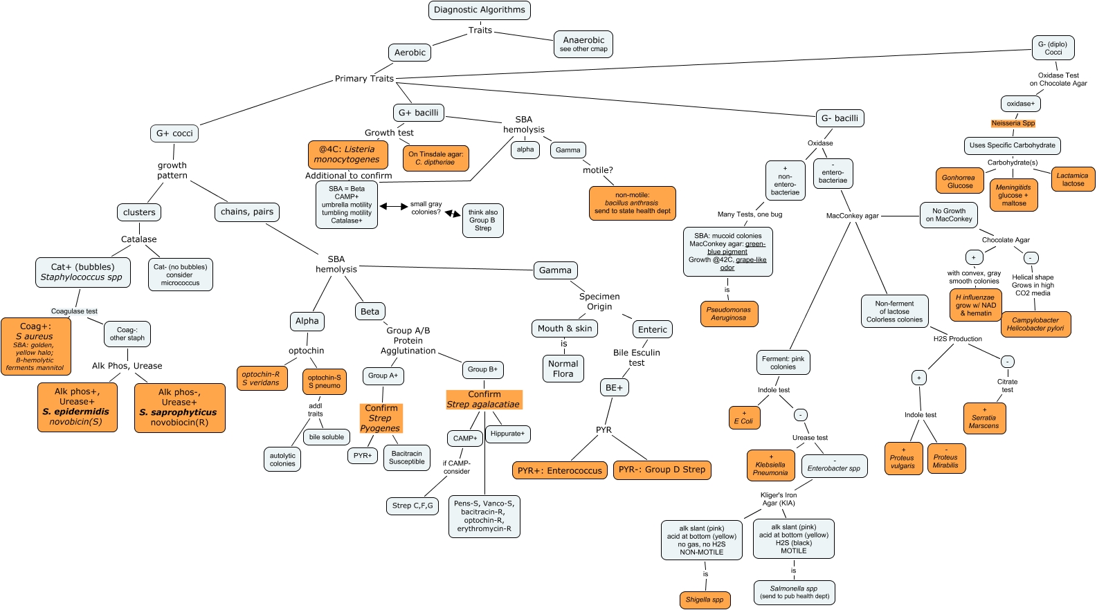 Bacteria Diagnostic Algorithm Given Specific Lab Values Which